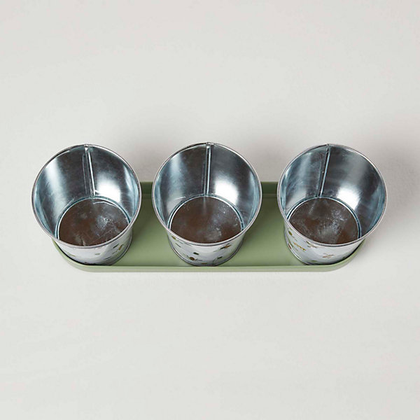 HOMESCAPES Set of 3 Green and White Indoor Plant Pots with Floral Bee ... HOMESCAPES Set of 3 Green and White Indoor Plant Pots with Floral Bee ...