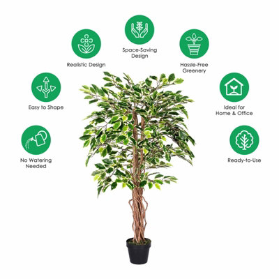 Homescapes Variegated Green Artificial Ficus Tree with Real Wood Trunk ...