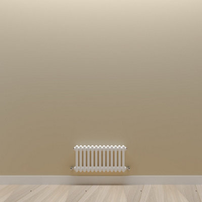 Horizontal White Double Column Radiator (H) 300mm x (W) 605mm.