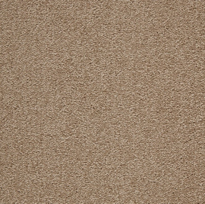Hospi Charm Bleach Cleanable Commercial Carpet by Remland (Biscotti, 1m ...