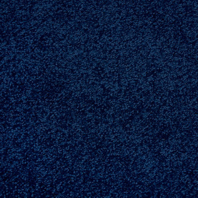Hospi Charm Bleach Cleanable Commercial Carpet by Remland (Royal Blue ...