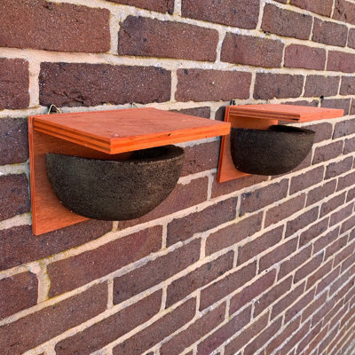 House Martin Resin Bird Nest Boxes (Set of 2)