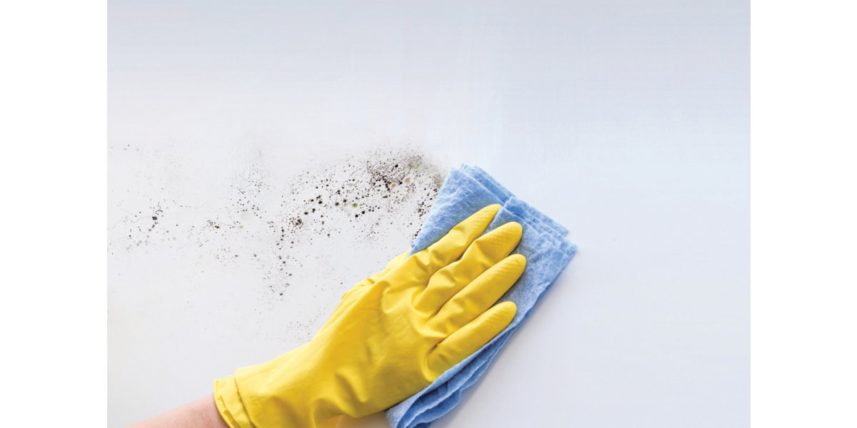 How to remove mould at B&Q