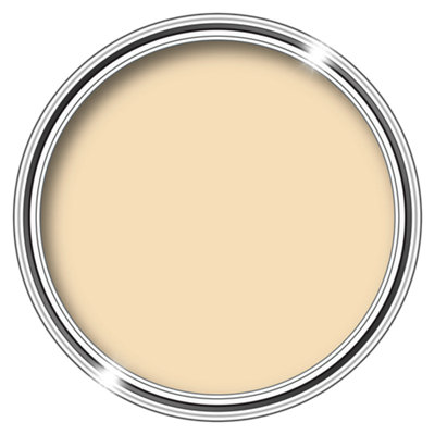 HQC Anti Damp Paint - Damp Proof for Interior Walls & Ceilings - Light ...