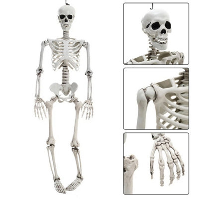 Human Skeleton Full Life Size Poseable Halloween Prop