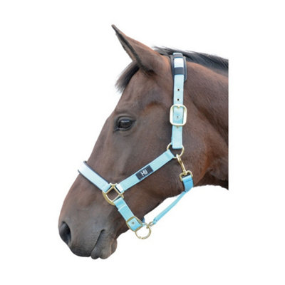 Hy Deluxe Padded Head Collar Bright Blue (Full) | DIY at B&Q