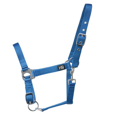 Hy Economy Plus Head Collar Kingfisher (Cob)