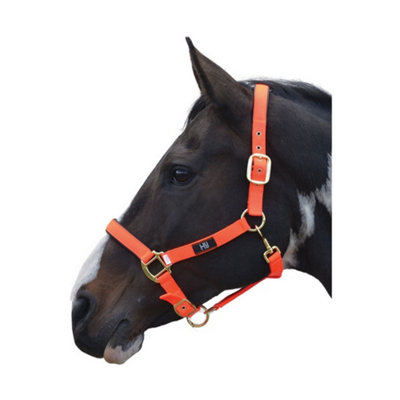Hy Grand Prix Head Collar Hot Orange (Cob) | DIY at B&Q