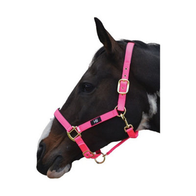 Hy Grand Prix Head Collar Hot Pink (Full) | DIY at B&Q
