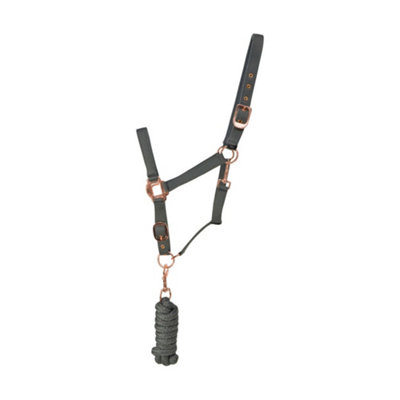 Hy Rose Gold Headcollar and Lead Rope Grey/Rose Gold (Cob) | DIY at B&Q