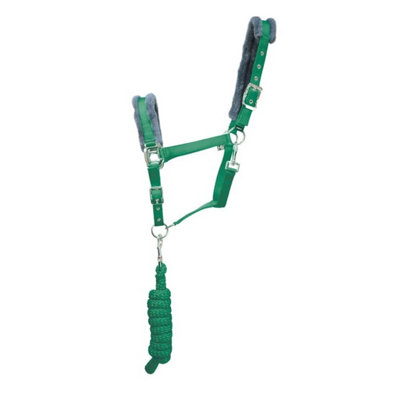 Hy Sport Active Horse Headcollar and Leadrope Emerald Green (Cob)