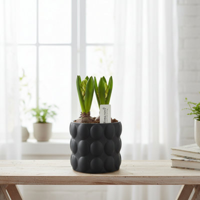 Hya Rom 1418 Popping Perfection Pot size 13 Cm Transport height 19 ...
