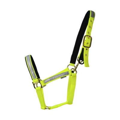 HyVIZ Fieldsafe Horse Headcollar Yellow/Reflective (Cob) | DIY at B&Q