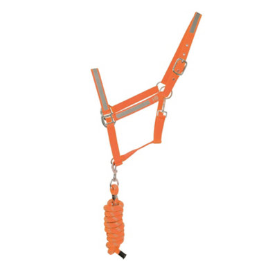 HyVIZ Reflector Head Collar and Lead Rope Orange (Pony)
