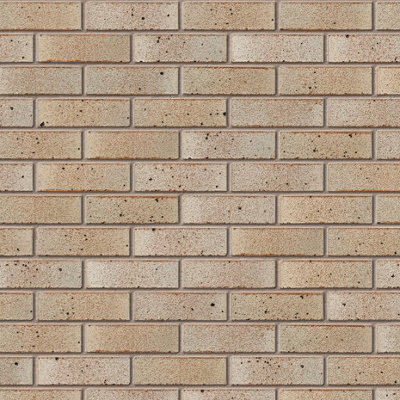 Ibstock Tradesman Light Brick 65mm Mini Pack 250 | DIY at B&Q