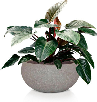 IDEALIST™ 11.8 Inch Bowl Planter, Large Bonsai Pot, Sandy Reinforced ...