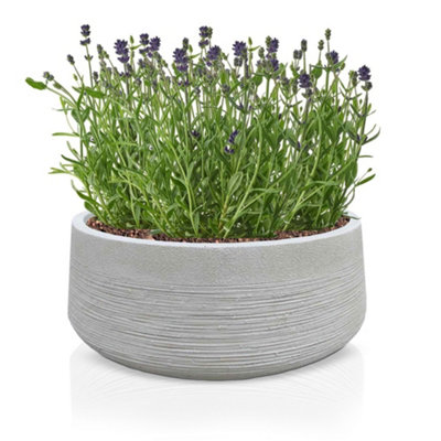 IDEALIST™ 17.3 Inch Bowl Planter, Ribbed Beige Reinforced Stone Shallow ...
