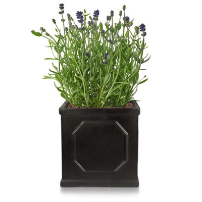 IDEALIST 22cm Small Square Planter, Chelsea Flower Box Garden Planter ...