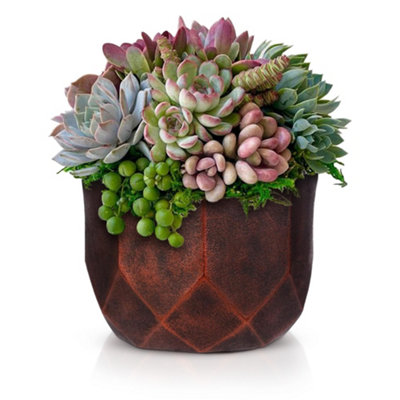 IDEALIST 23cm Round Planter, Bronze Faceted Concrete Effect Indoor ...