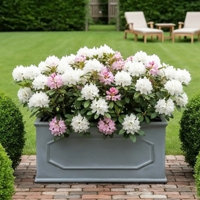 IDEALIST™ 60cm Chelsea Trough, Vintage Slate Effect Rectangular ...