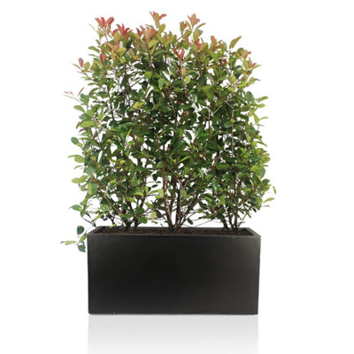 IDEALIST™ 80cm Trough Garden Planter, Black Reinforced Stone ...