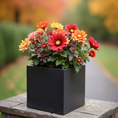 IDEALIST Flower Box Square Garden Planter, Black Light Concrete Outdoor ...