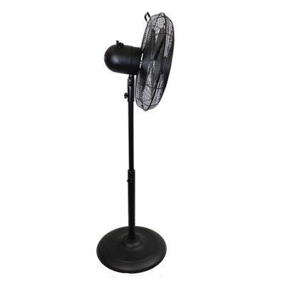 Buy Igenix DF1660BL Pedestal Fan, 16 Inch, Oscillating, 3 Speeds at B&Q