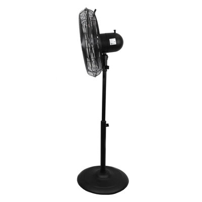 Buy Igenix DF1660BL Pedestal Fan, 16 Inch, Oscillating, 3 Speeds at B&Q
