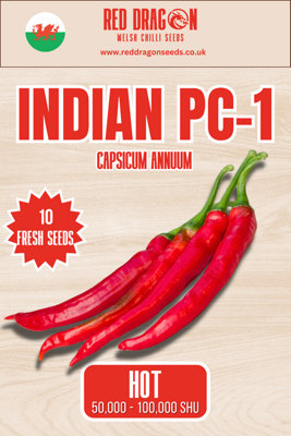 INDIAN PC-1 CHILLI SEEDS - 10 FRESH SEEDS