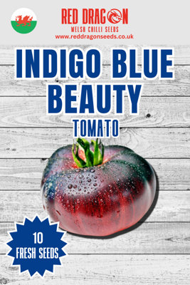 Indigo Blue Beauty Tomato Seeds - 10 Fresh Seeds