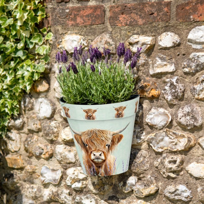 Indoor Outdoor Zest Wall Pot Highland Cow