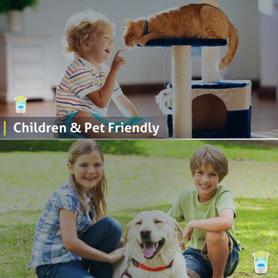 Insect Fly Trap Light, New USB Rechargeable Insect Light Trap for Fruit ...