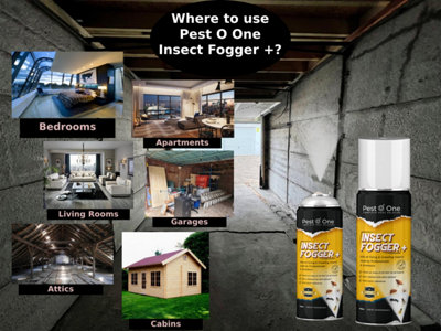 Insect Fogger for Fleas Bed Bug, Flies, Moths Bomb Fogger kill all One ...