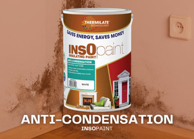 InsOpaint Anti Condensation Paint - Stops Condensation on Interior ...