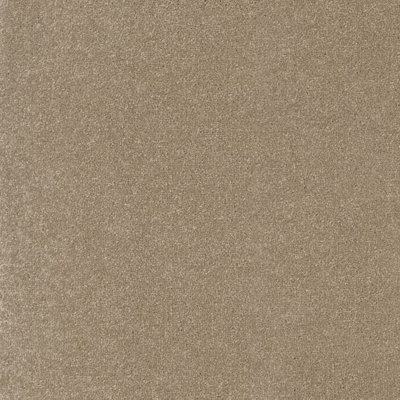 Inspiration Deep Pile Carpet by Remland (Santiago, 4m x 4m)