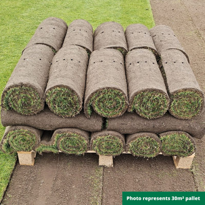 Inturf Classic Lawn Turf, 30m² Pack | DIY at B&Q