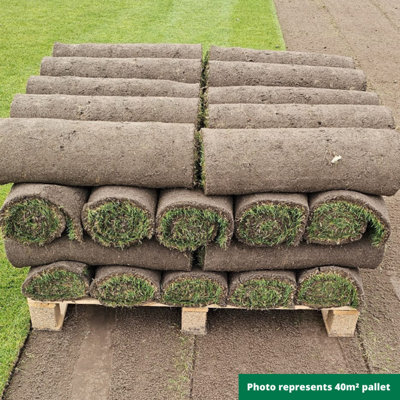 Inturf Classic Lawn Turf, 40m² Pack