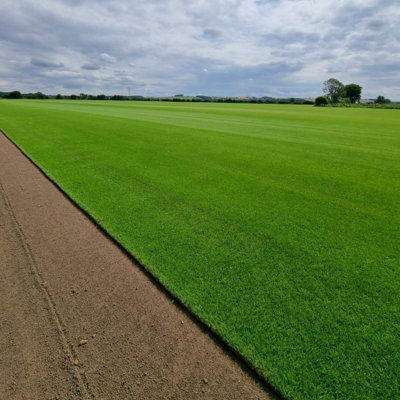 Inturf Classic Lawn Turf, 60m² Pack | DIY at B&Q