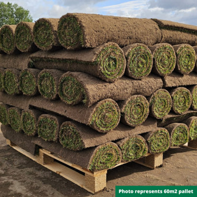 Inturf Classic Lawn Turf, 60m² Pack | DIY at B&Q