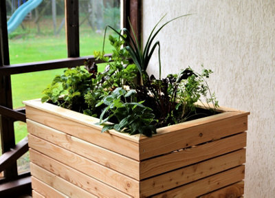Shop Irena Larch Timber Deep Trough Planter