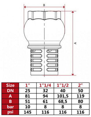 Itap 1 1/4 Inch Check Foot Valve Female Suction Non Return Valve For Pumps Brass