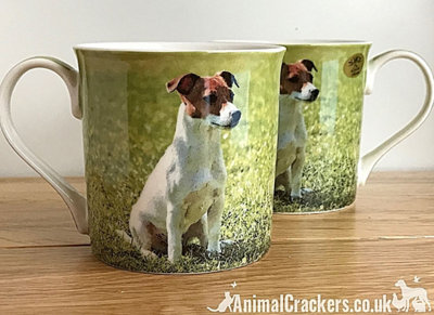 Jack Russell Mug by Leonardo, fine china with all round print, gift boxed