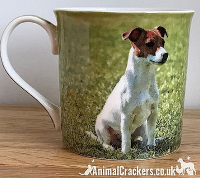 Jack Russell Mug by Leonardo, fine china with all round print, gift boxed
