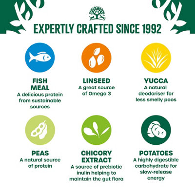 James Wellbeloved Adult Dog Maintenance Grain Free Fish Kibble 10kg