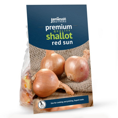 Jamieson Brothers Red Sun Shallot Sets - 24 pack