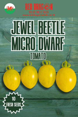 Jewel Beetle Micro Dwarf Tomato Seeds for Home Garden Growing
