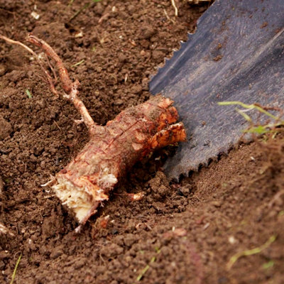 JML Rayzer Shovel - The super-strong cutting, chopping, sawing, shovel