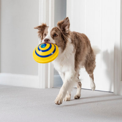 JML Woof Glider - Soft and safe indoor play toy for dogs