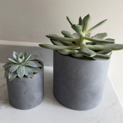 Jobu Home - Aurello Brushed Grey Indoor Plant Pots Set of 2 - Modern ...