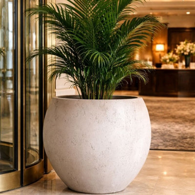 Jobu home - Large Sphere Planter for Shrubs and Small Trees - 207 L ...